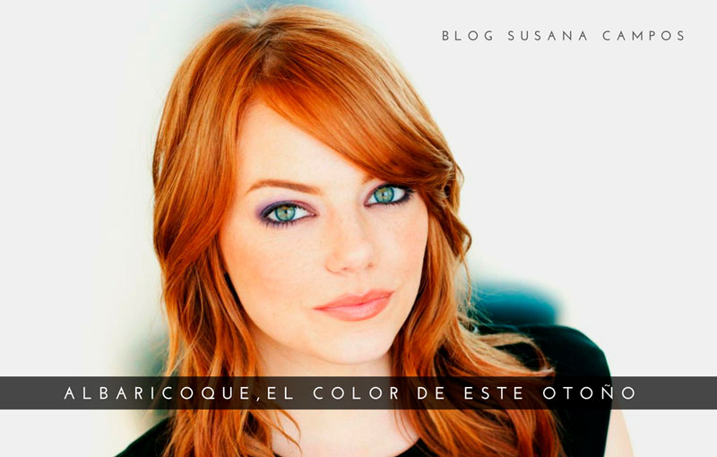 EL COLOR DE OTOÑO - Susana Campos Estilistas